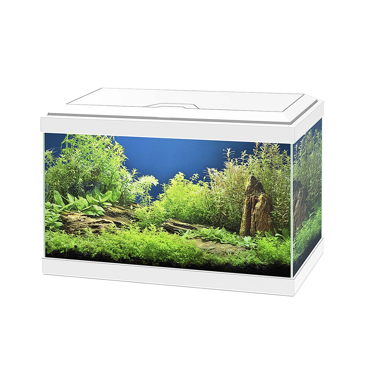 Aquarium 20 Led Blanc - Terranimo Aquarium 20 Led Blanc - Terranimo